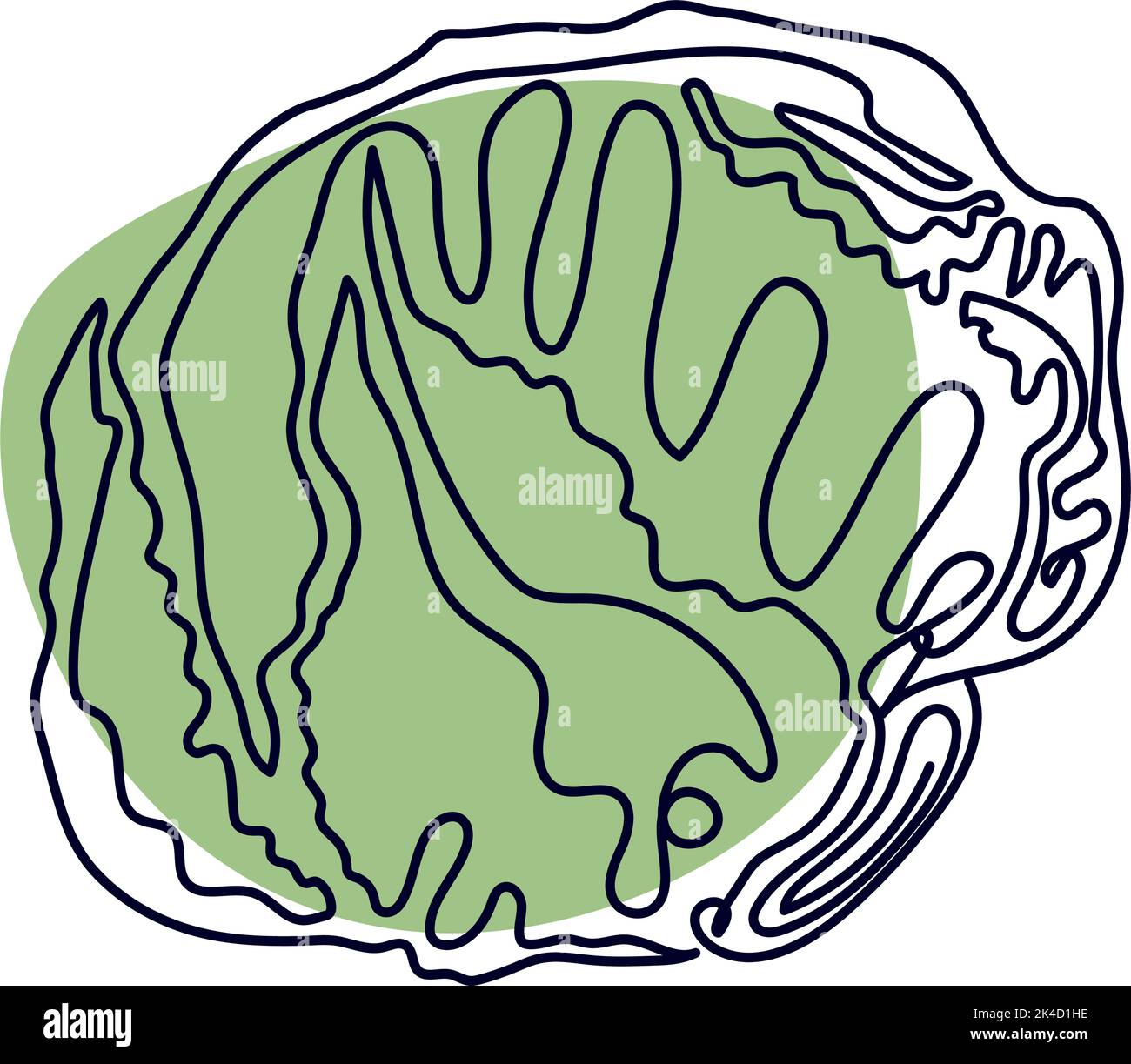 lettuce line drawing Stock Vector Image & Art - Alamy
