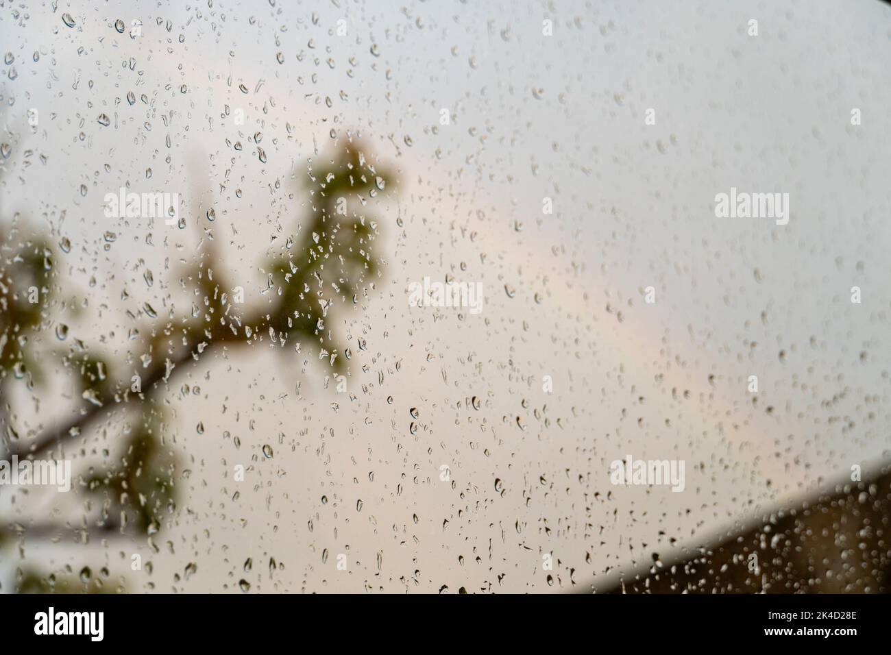rainbow through a window, drops on the window pane, tree branch behind ...