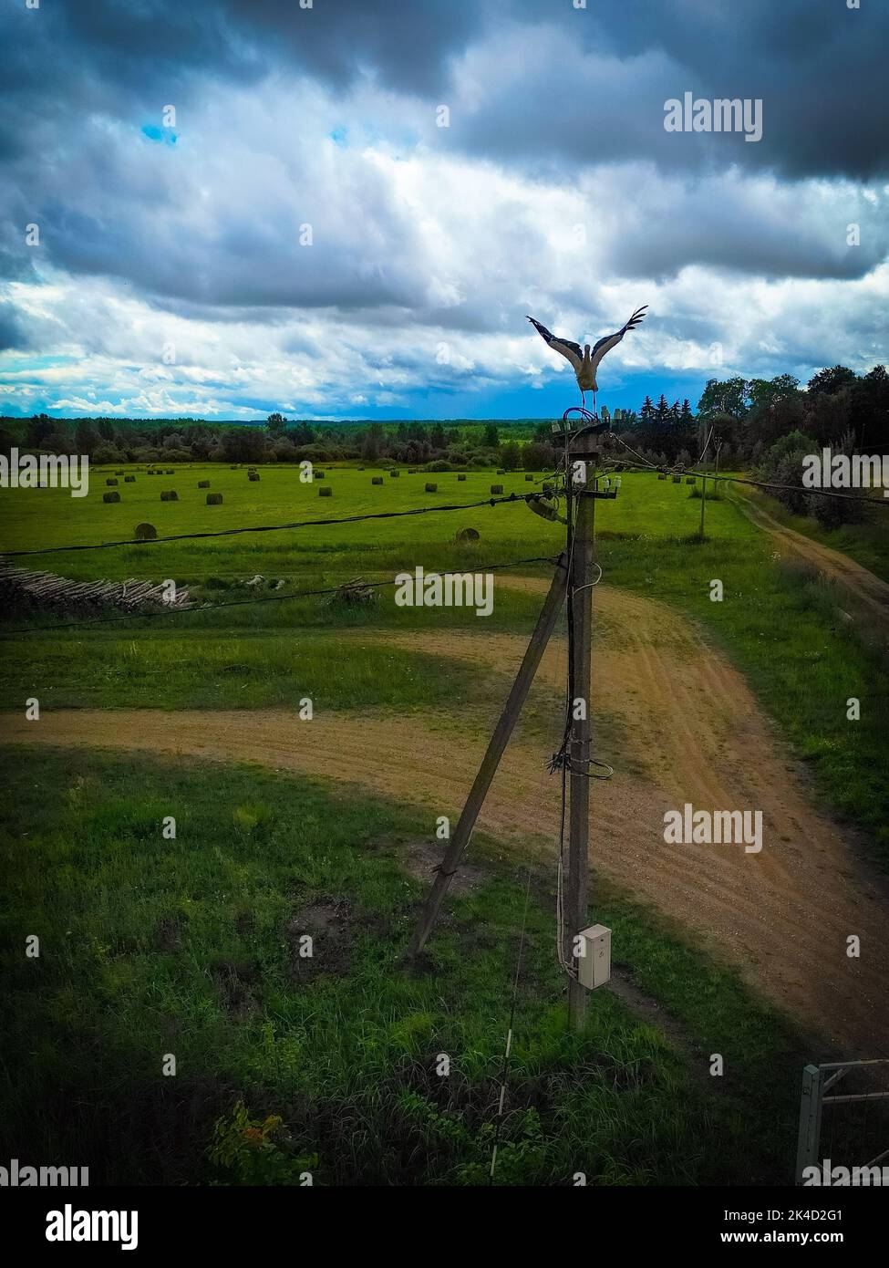 A high-angle shot of a green rural field with a wooden electricity pole ...