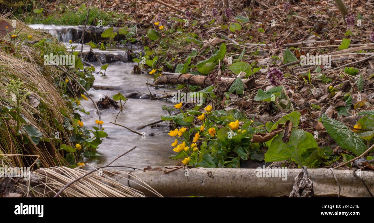 Log across stream hi-res stock photography and images - Alamy