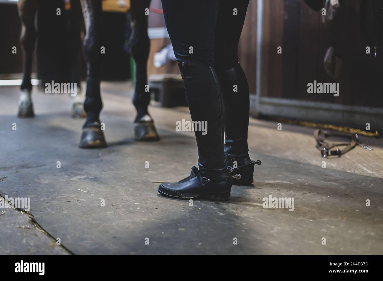The feet of a horse trainer and hooves of a horse in a stable Stock ...