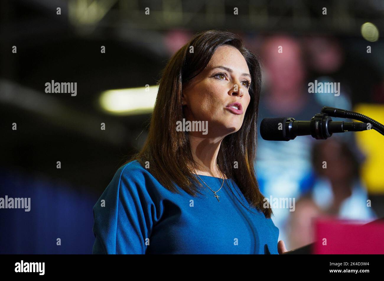 Tudor dixon hi-res stock photography and images - Alamy