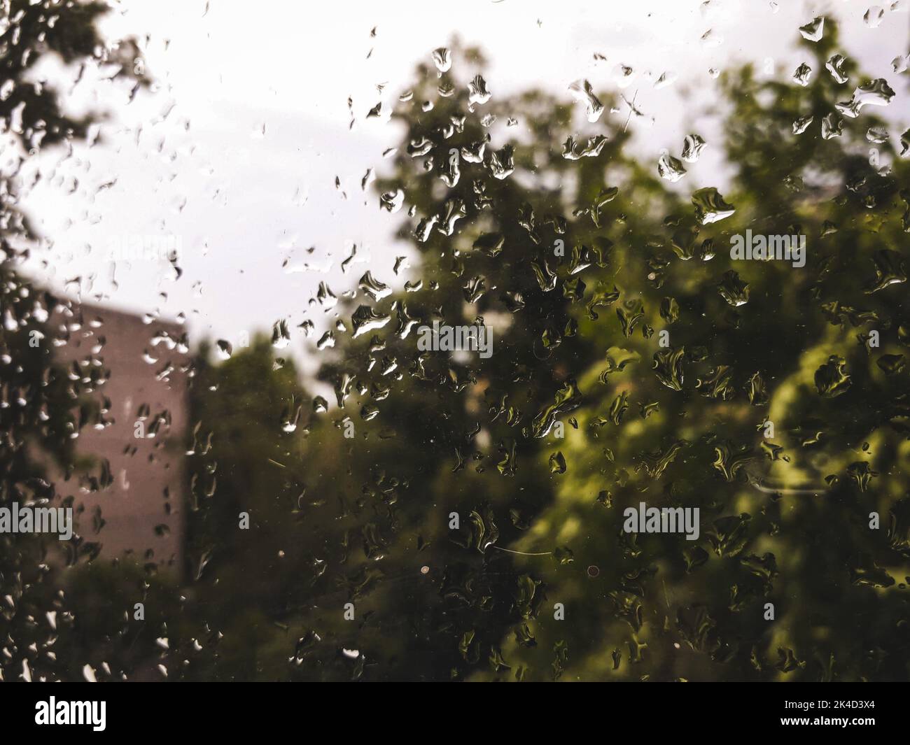 A closeup shot of raindrops on the window on a rainy weather Stock ...