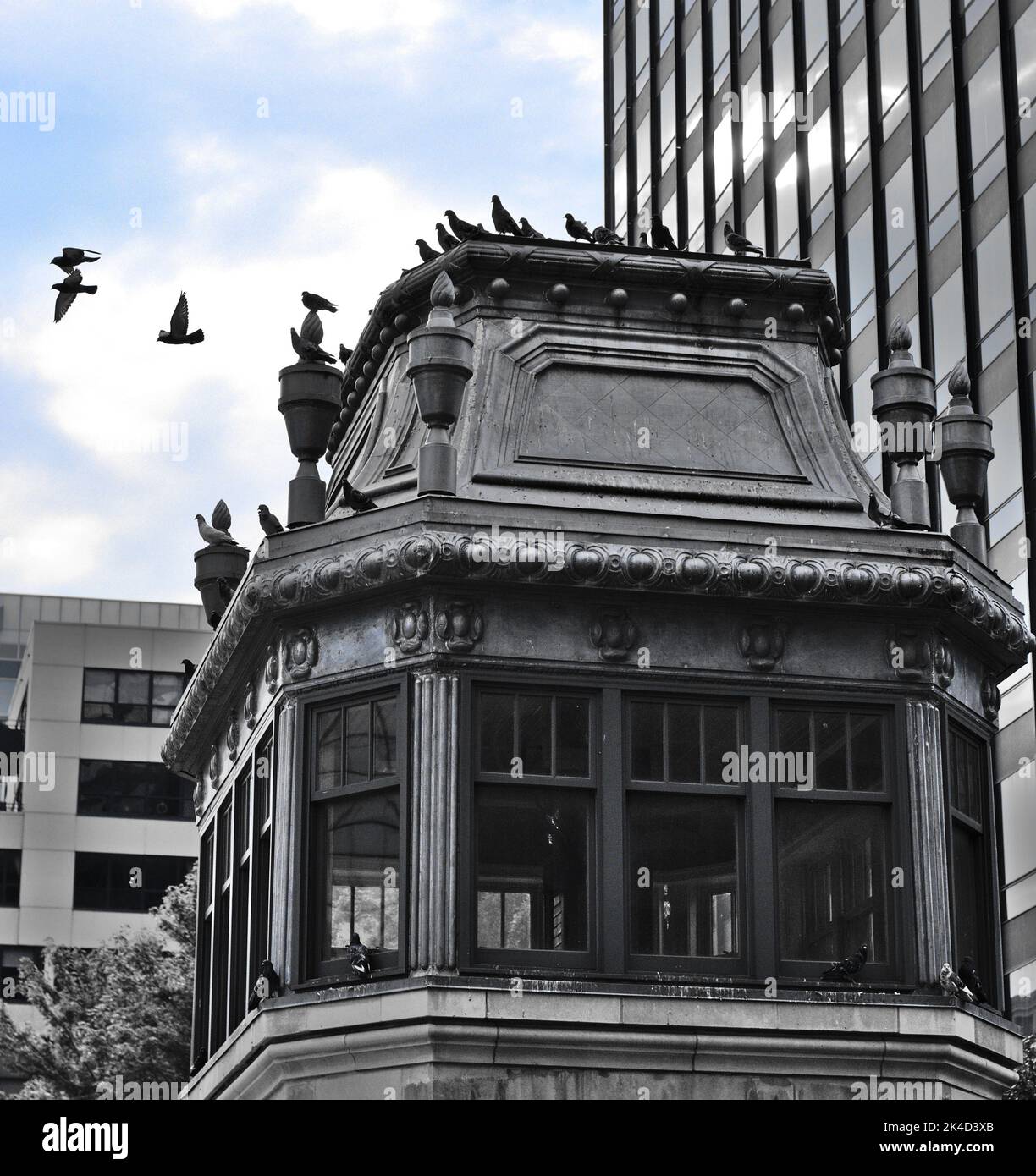 A vertical shot of an old ornamented building roof with doves taking ...