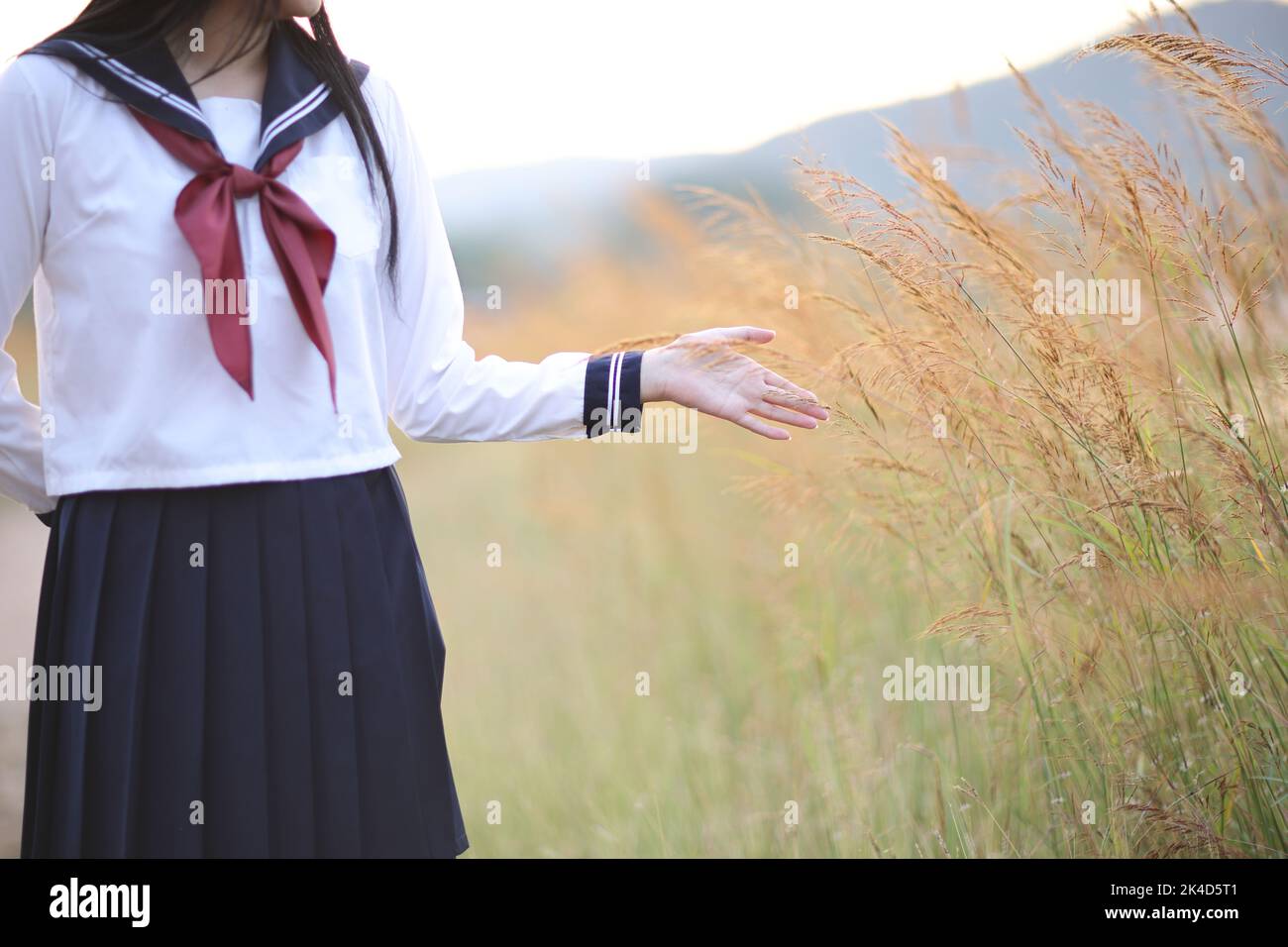 Asian High School Girls student hand touch grass in countryside with sunrise Stock Photo - Alamy