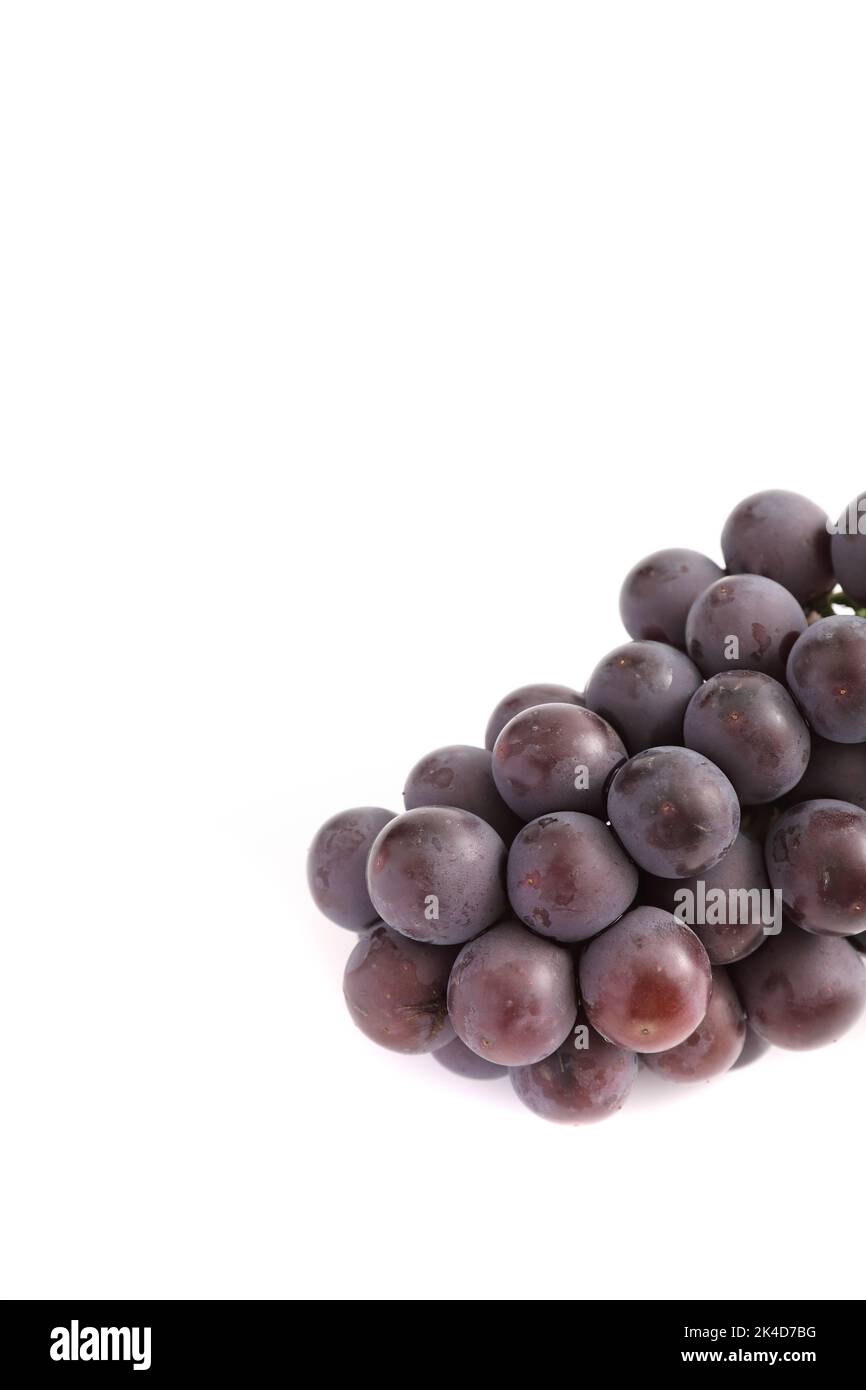 Red grapes isolated in white background Stock Photo - Alamy