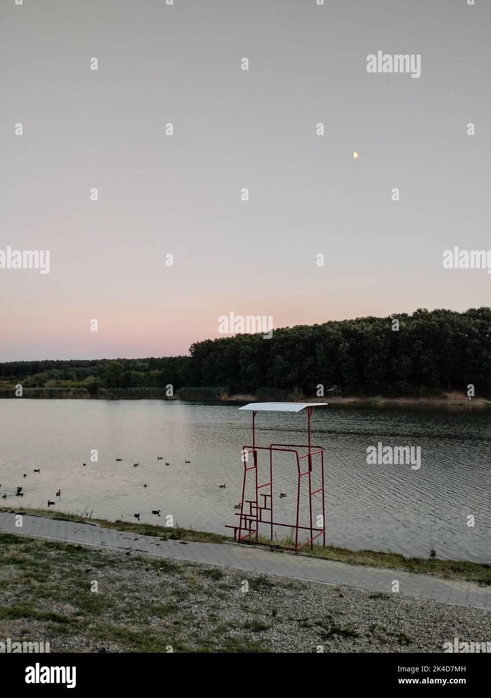 A vertical pond view with water waves and trees at sunset, purple and ...