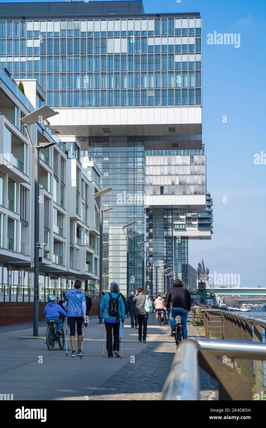 Crane houses Cologne with people in the front at rhine promenade Stock ...