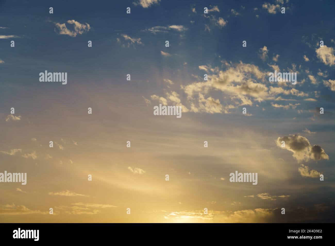dramatic sky at sunrise with yellow colors with trees at the bottom ...