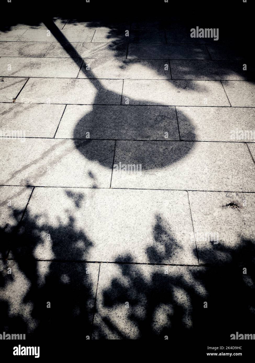 A vertical shot of a shadow of a street lamp and trees in sunny weather ...