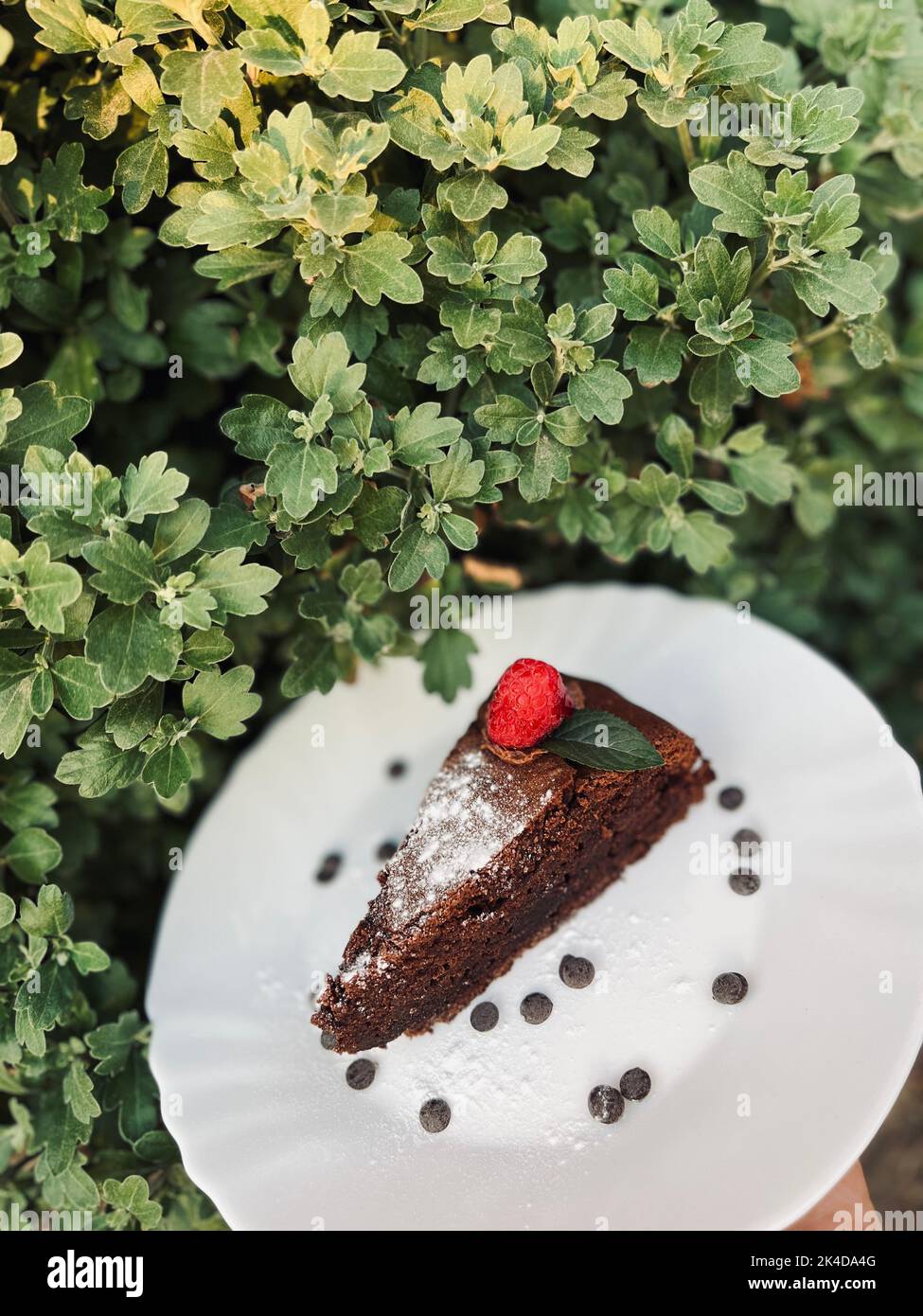 A vertical shot of a slice of chocolate cake with a raspberry on the ...