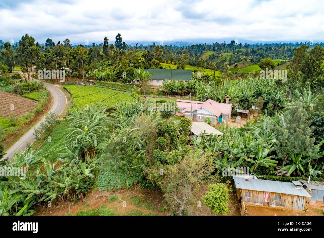 Kenya tea coffee farming hi-res stock photography and images - Alamy