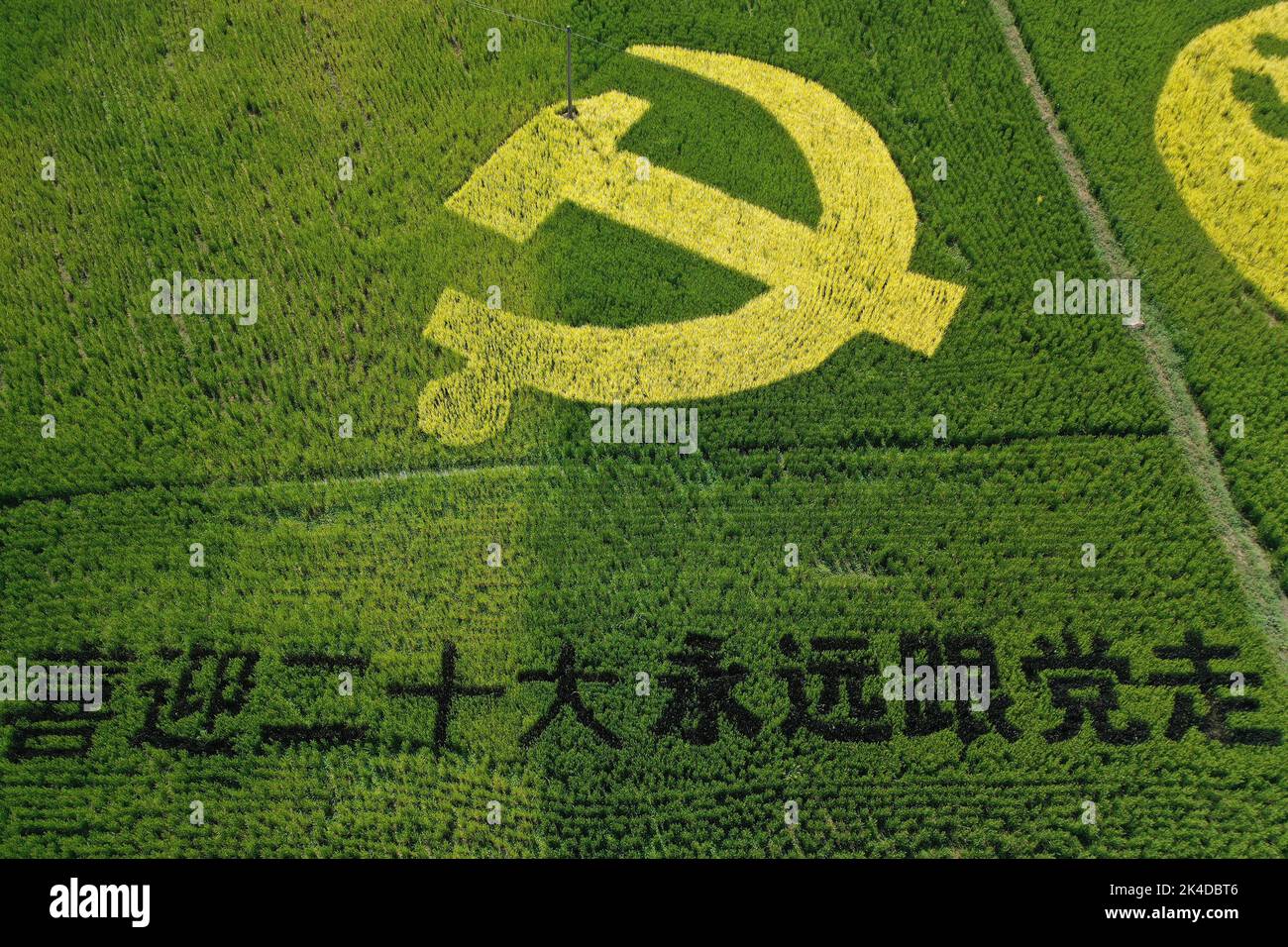 ZHENJIANG, CHINA - OTOBER 2, 2022 - An aerial photo shows a paddy ...