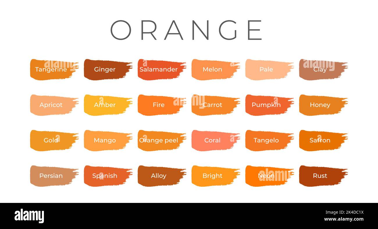 Orange Paint Color Swatches with Shade Names on Brush Strokes Stock ...