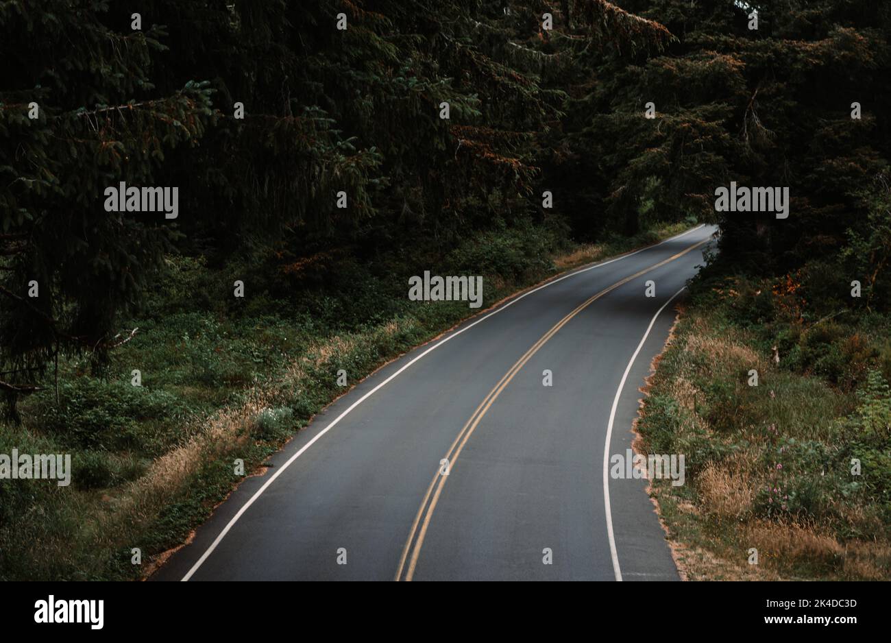Two line hi-res stock photography and images - Alamy
