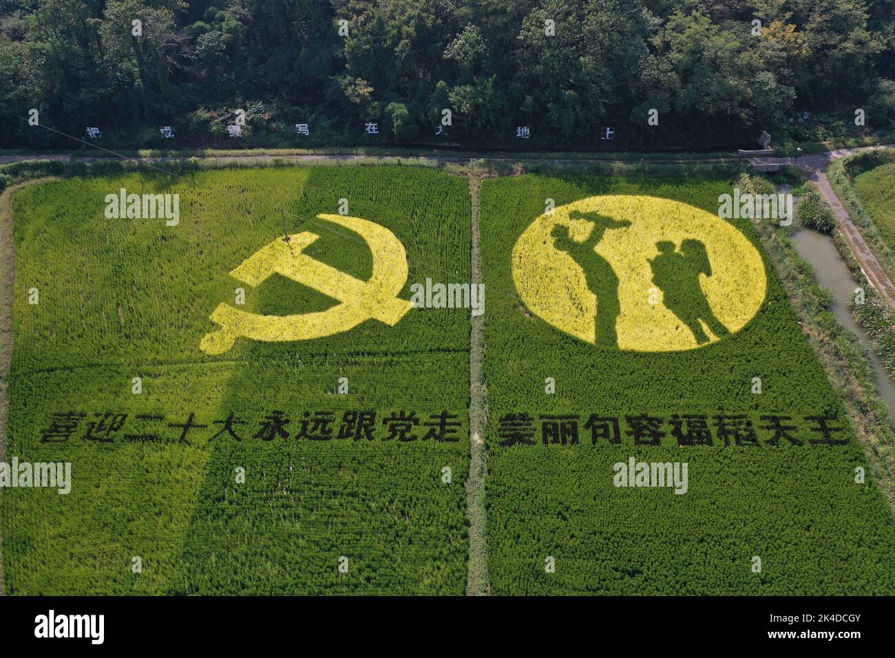 ZHENJIANG, CHINA - OTOBER 2, 2022 - An aerial photo shows a paddy ...