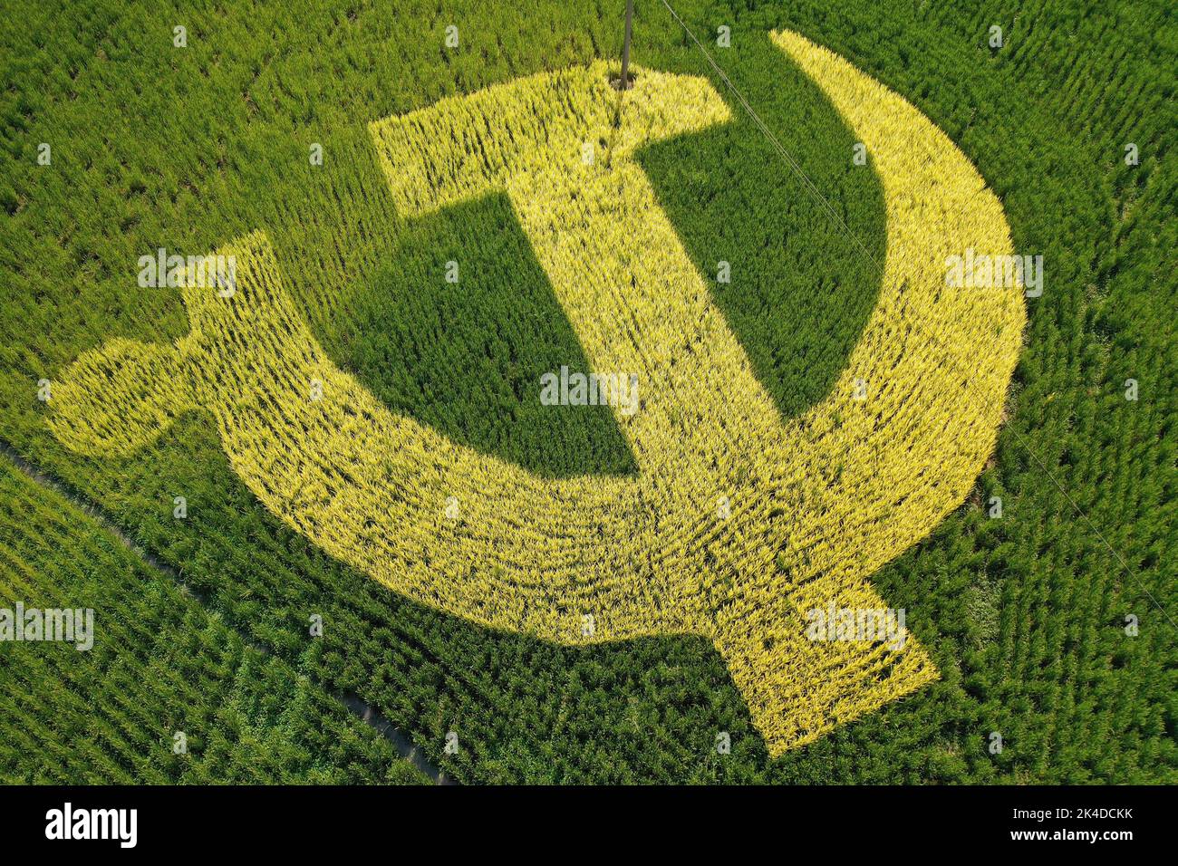 ZHENJIANG, CHINA - OTOBER 2, 2022 - An aerial photo shows a paddy ...