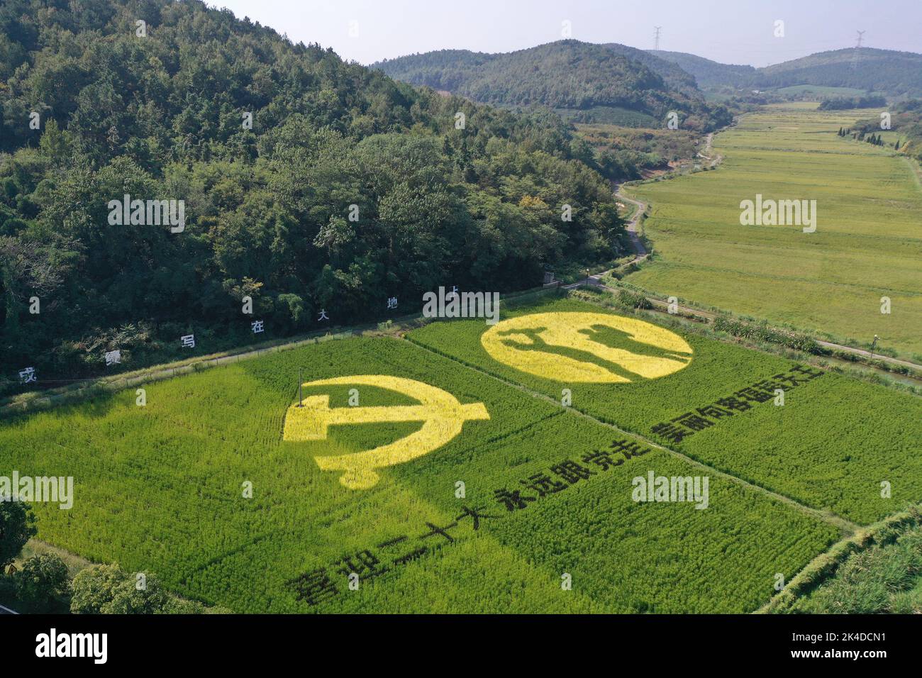 ZHENJIANG, CHINA - OTOBER 2, 2022 - An aerial photo shows a paddy ...