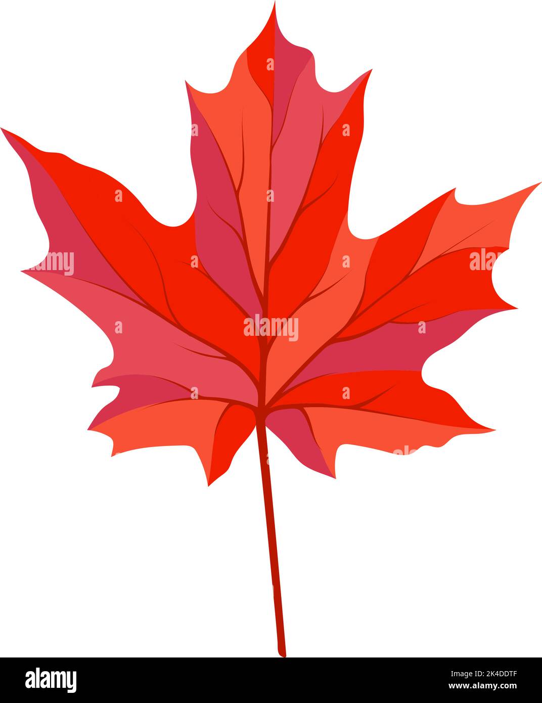 Autumn maple leaf. Leaf fall. Vector illustration Stock Vector Image ...