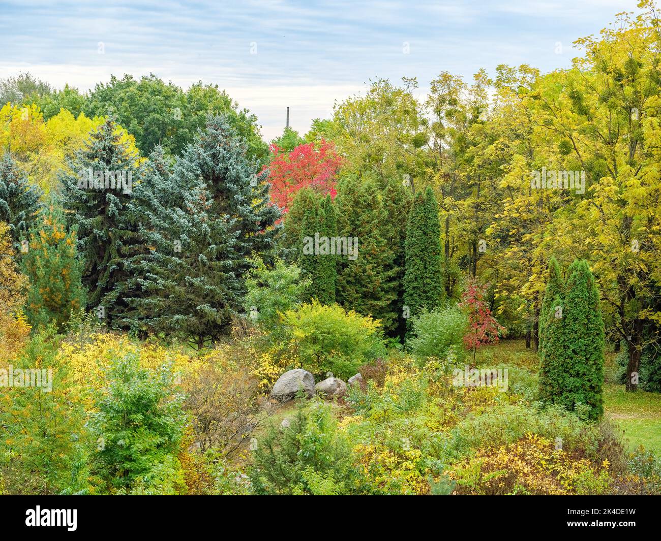 Beautiful colorful park of coniferous and deciduous trees and bushes ...