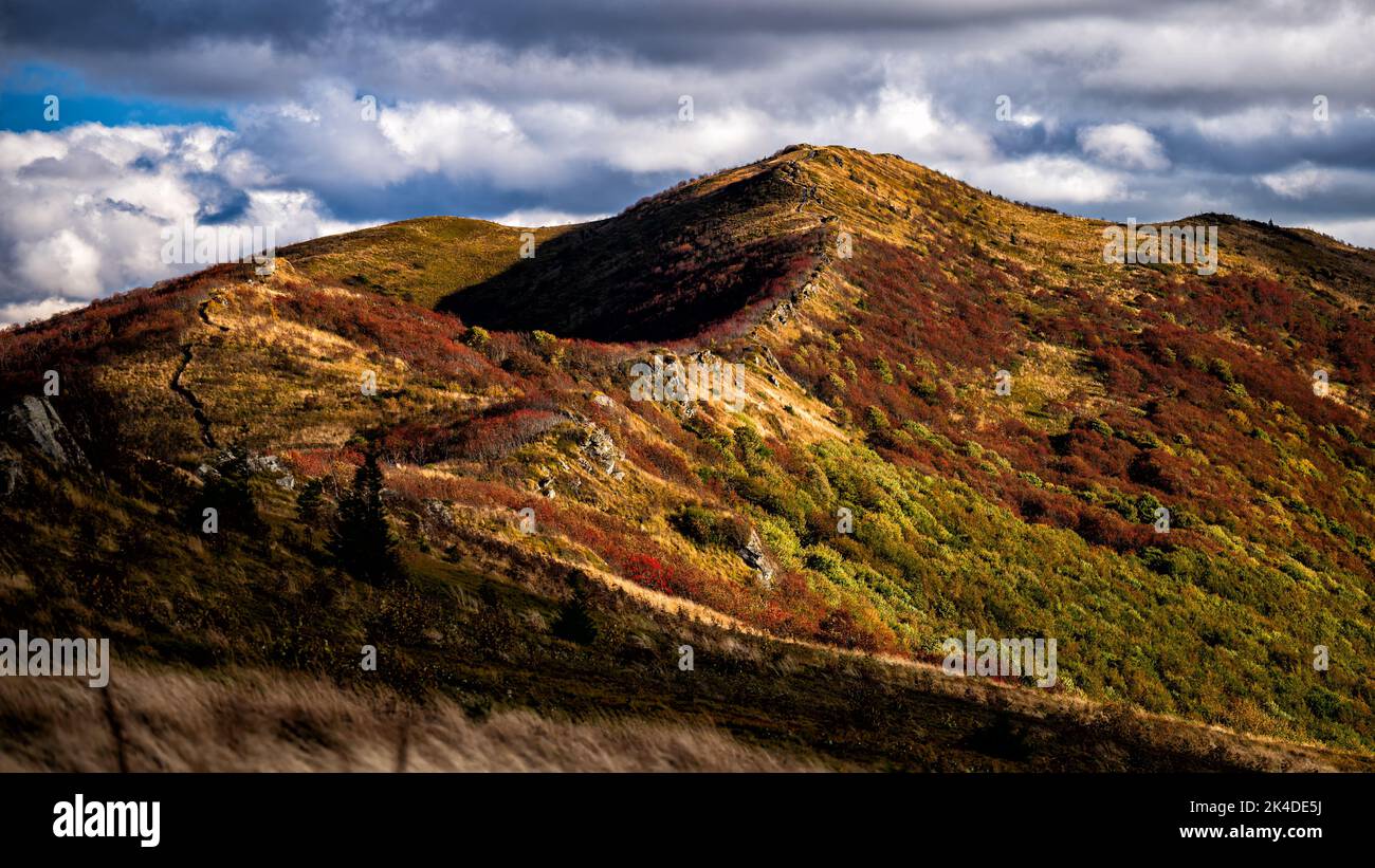 The palette of autumn colors in the mountains. Bukowe Berdo, Bieszczady ...