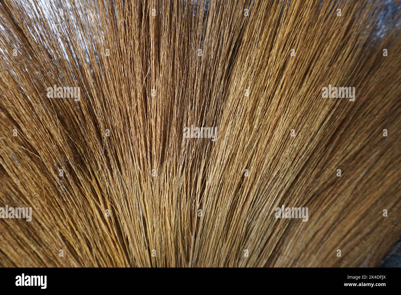 The surface of the broom for cleaned , straw Stock Photo - Alamy
