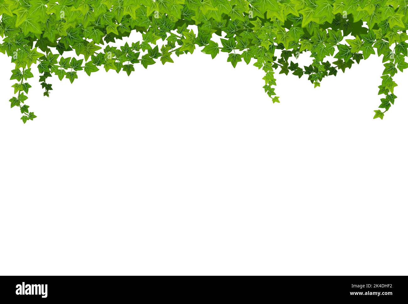 Green background from liana Stock Vector Images - Alamy