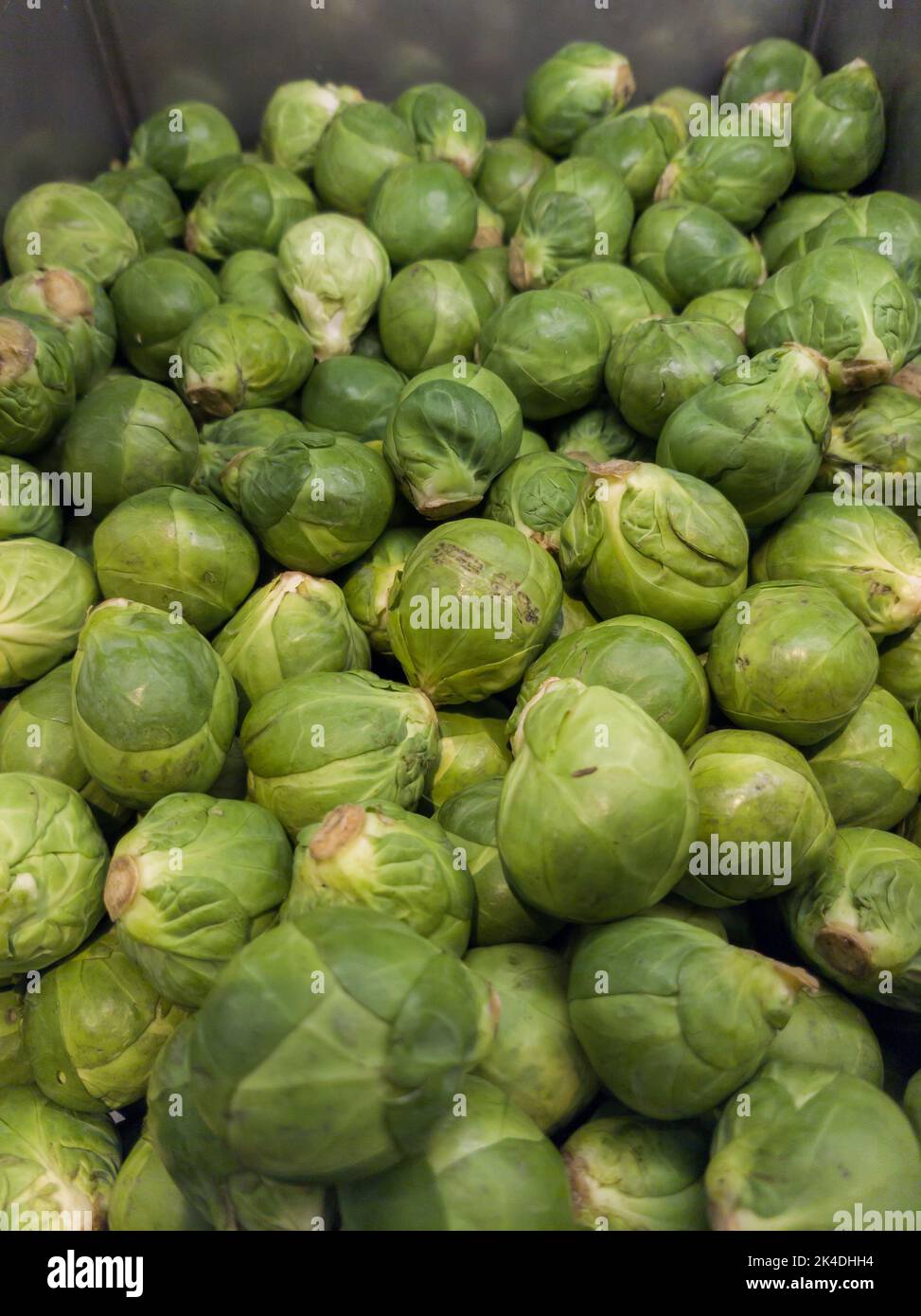 Close-up view of the green brussel sprouts Stock Photo - Alamy