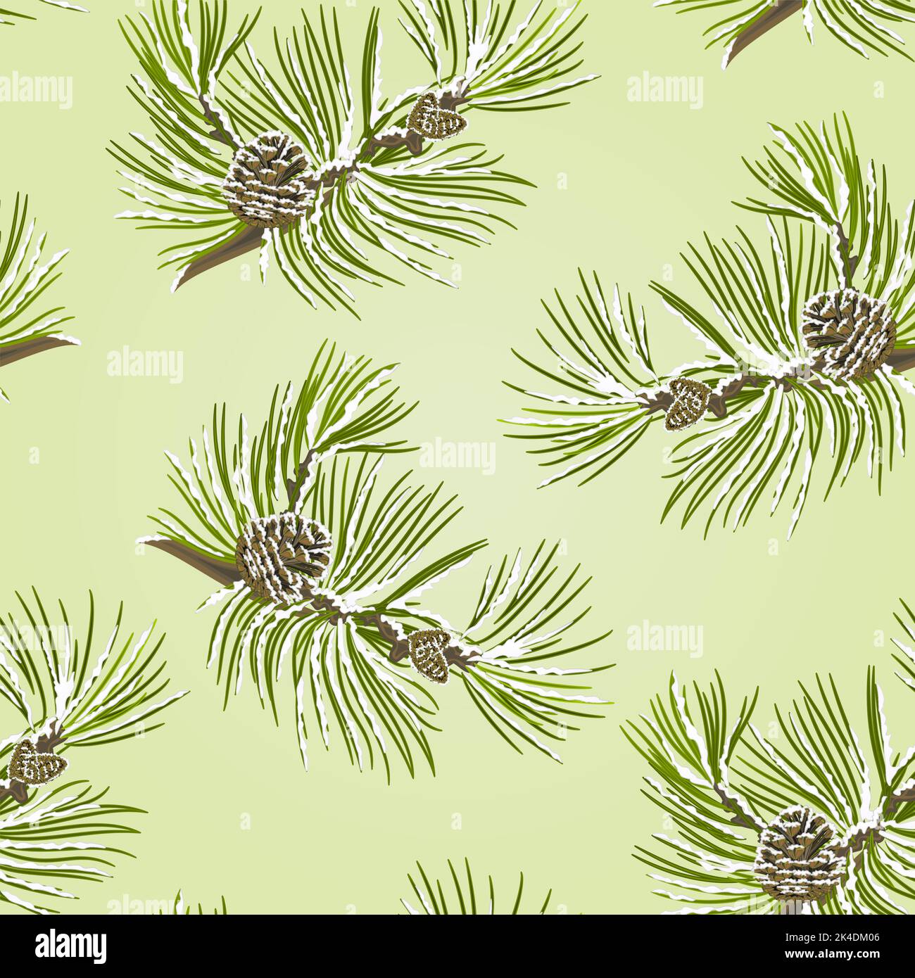 Seamless texture branch Pine tree with pine cones with snow vector ...