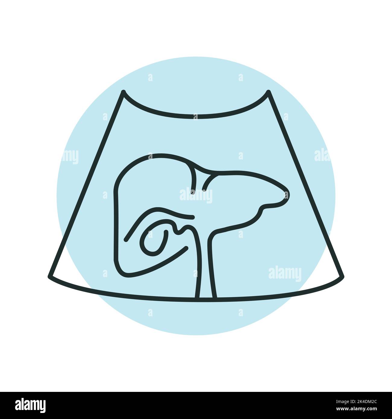 Ultrasound liver color line illustration. Cosmetology skin care concept ...