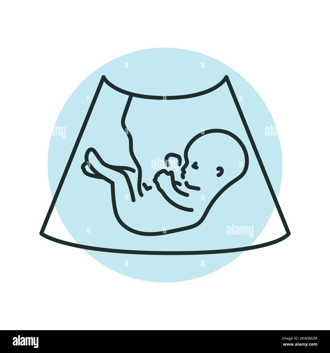 Preimplantation Stock Vector Images - Alamy