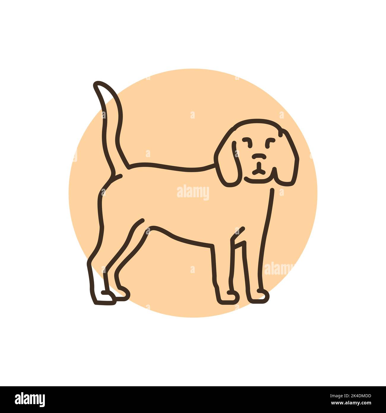 Beagle color line icon. Dog breed. Pictogram for web page, mobile app ...