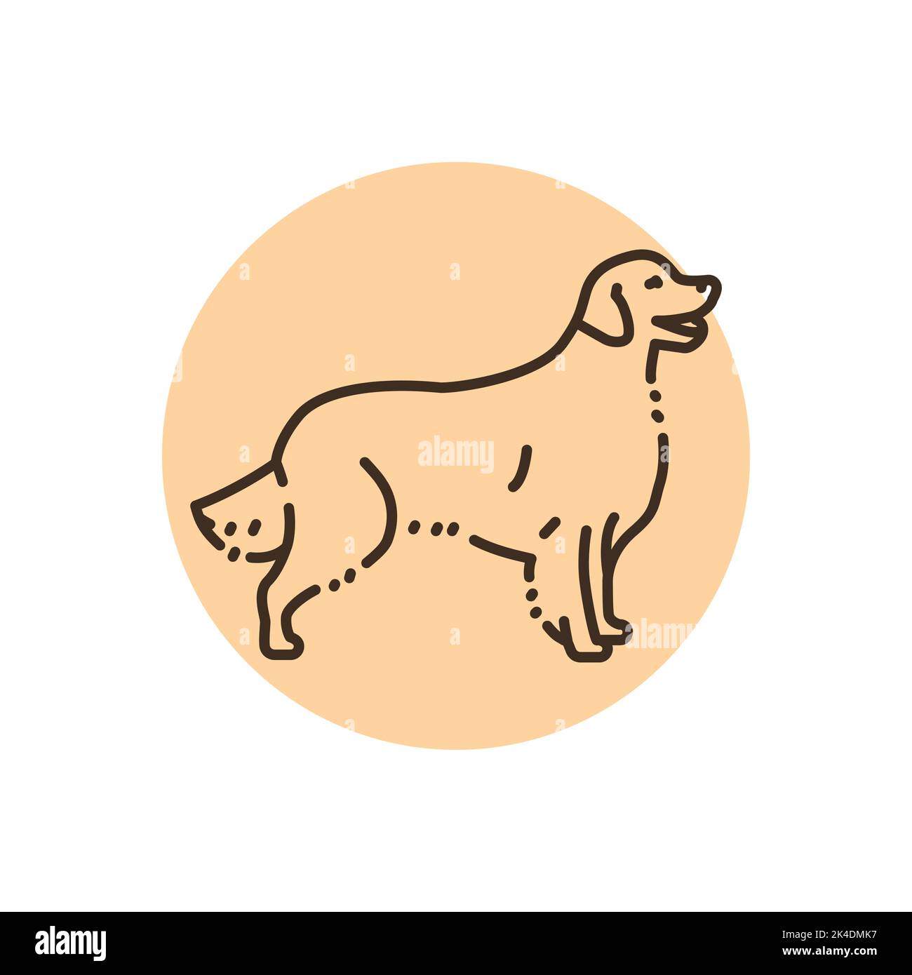 Golden retriever color line icon. Dog breed. Pictogram for web page ...