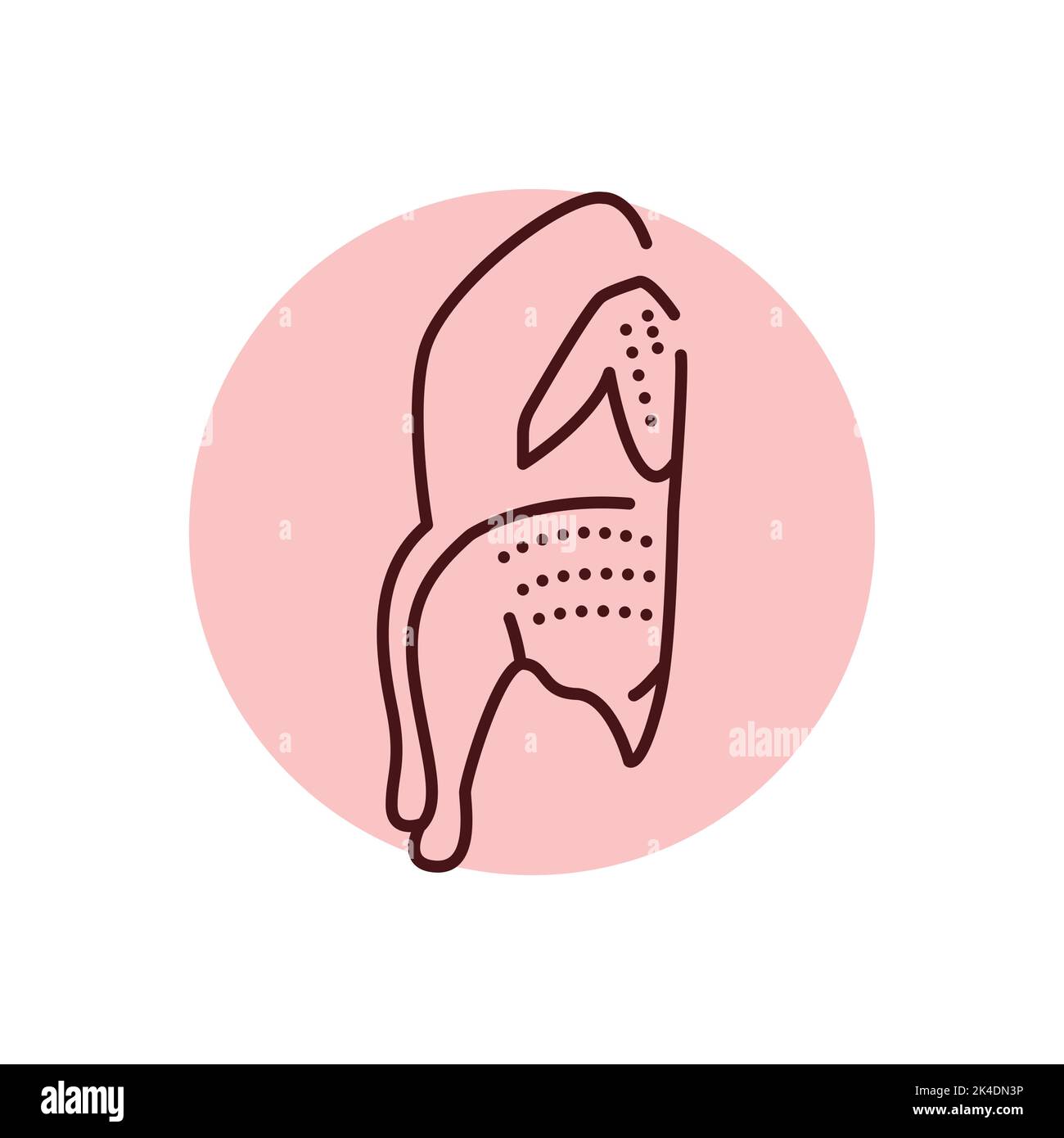 Partridge carcass color line icon. Cutting meat. Pictogram for web page ...