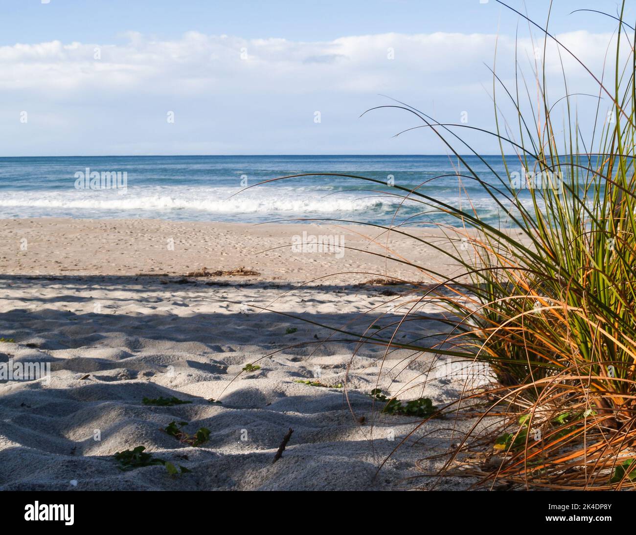 Defocussed ocean-view beyond foreground marram grass on beach Stock ...