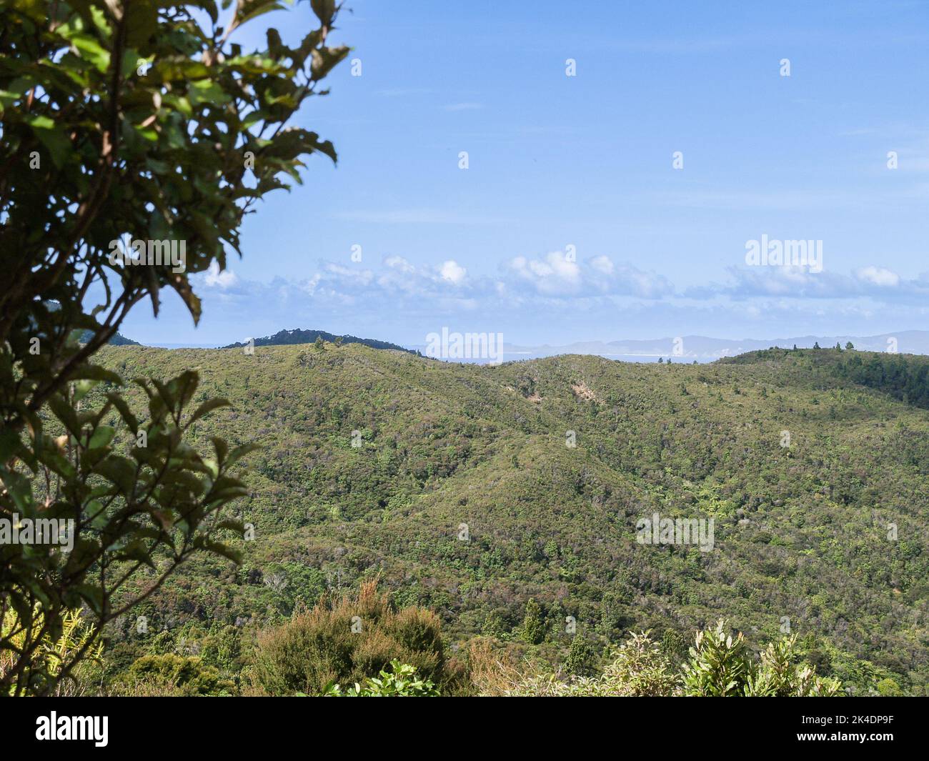 Rolling bush clad hills to Coromandel coast, New Zealand Stock Photo ...