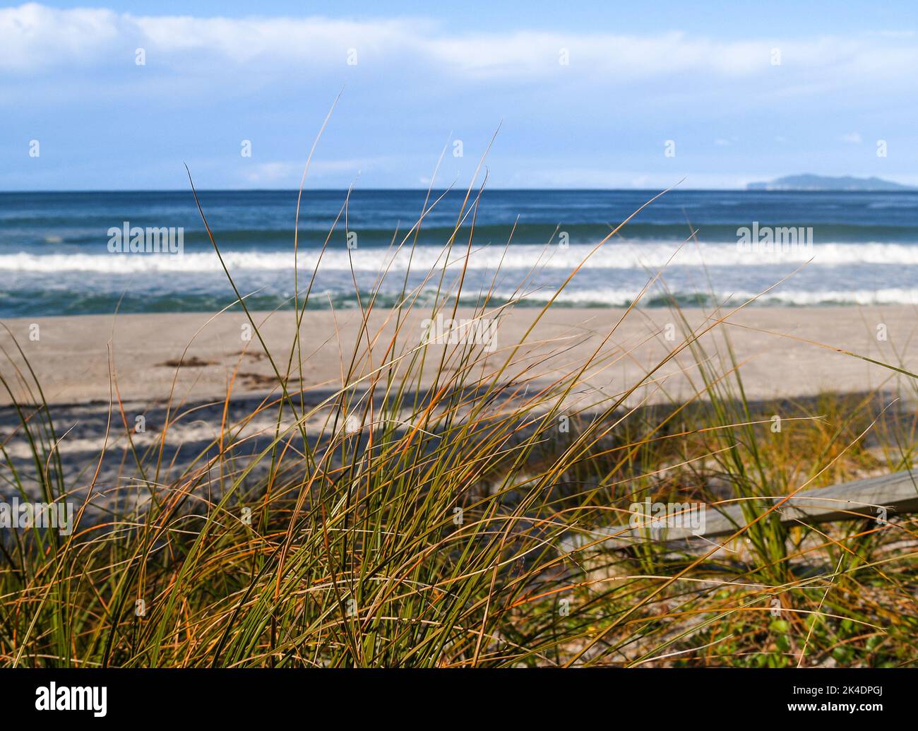 Defocussed ocean-view beyond foreground marram grass on beach Stock ...