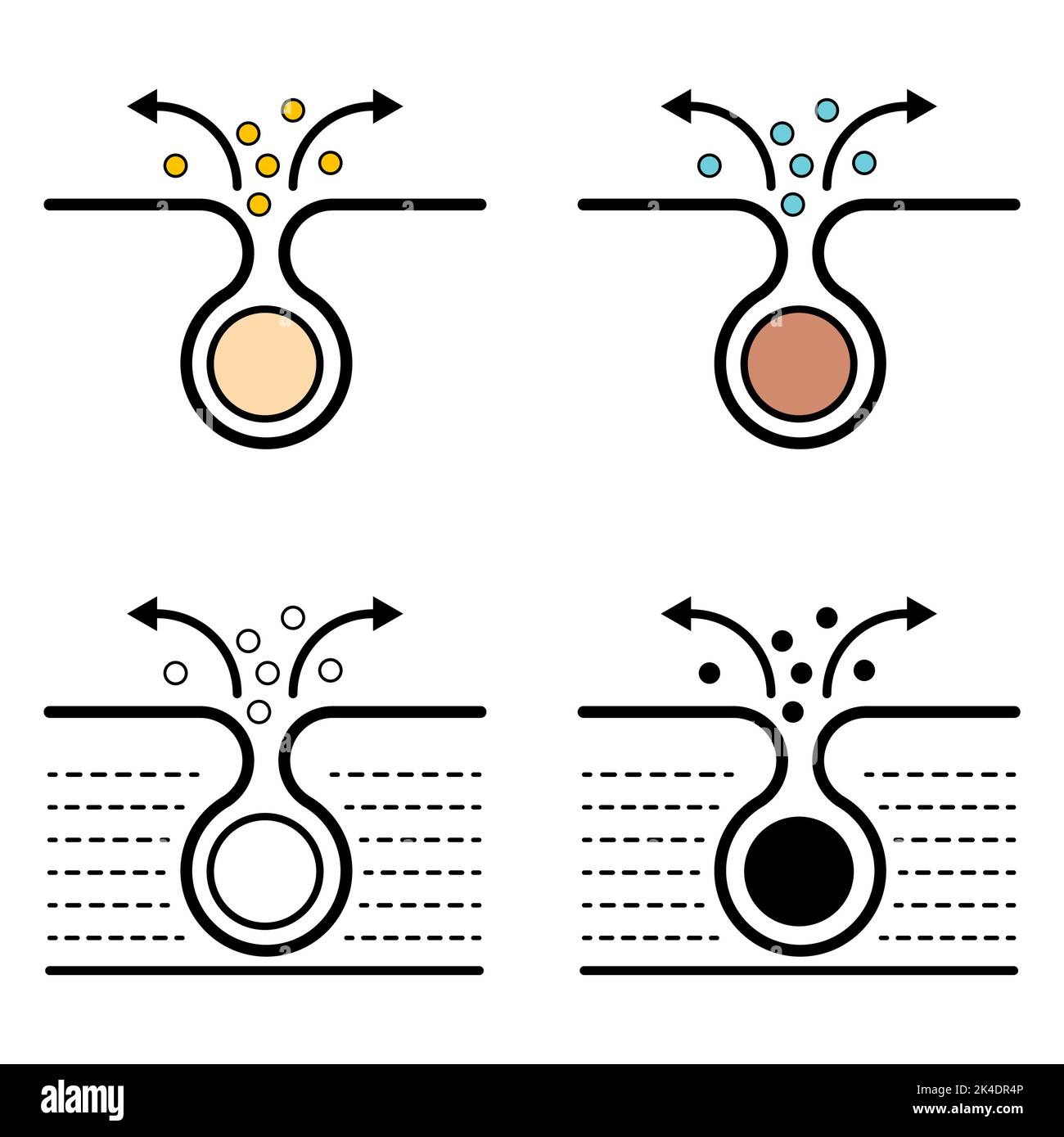 Set of Cleaning pore icon, blackhead dermatology skin problem, acne ...