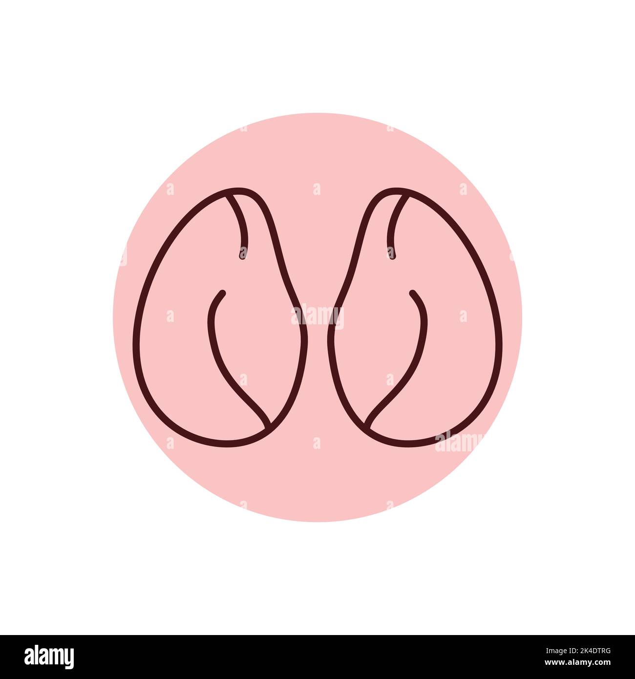 Chicken kidneys color line icon. Cutting meat Stock Vector Image & Art ...
