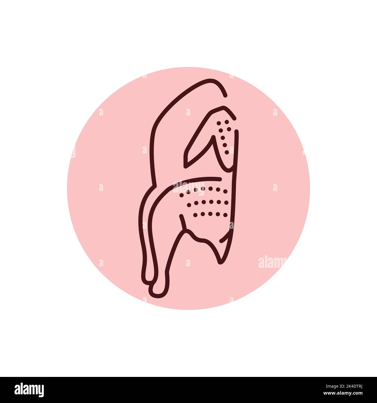 Partridge carcass color line icon. Cutting meat Stock Vector Image ...