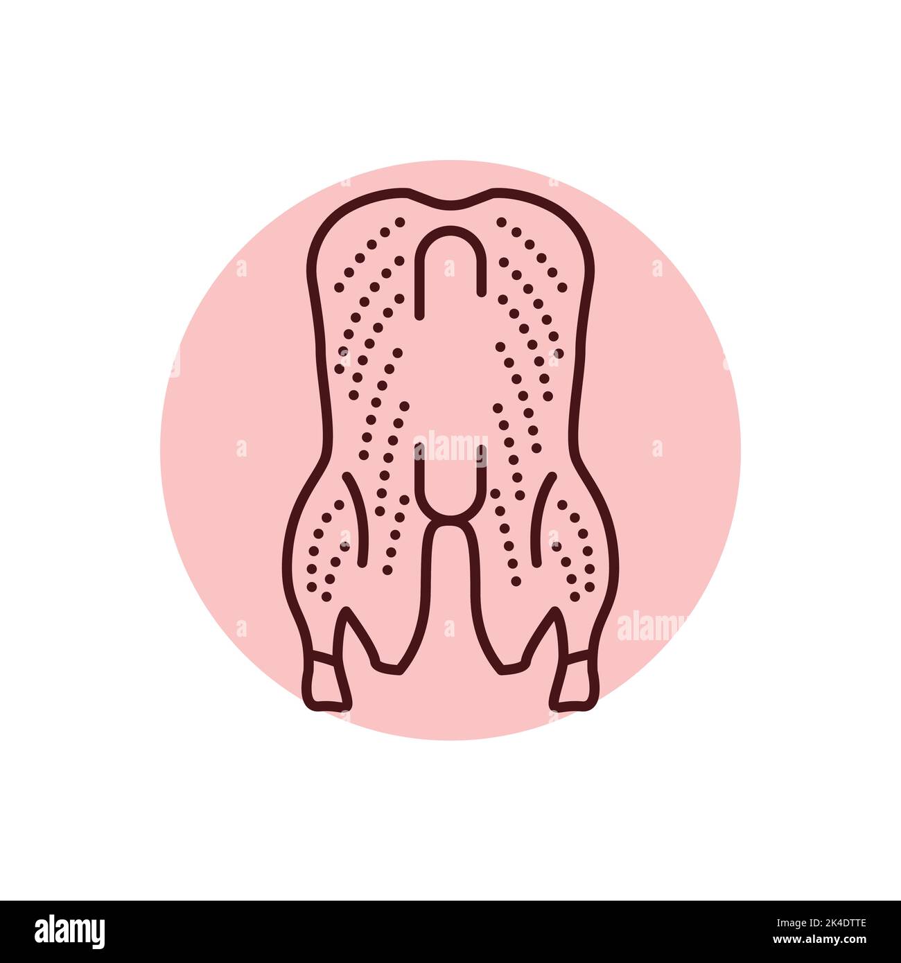 Turkey carcass Stock Vector Images - Alamy