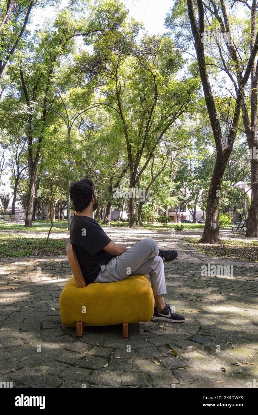 armchair, chair, individual sofa, solid natural wood structure, seat ...