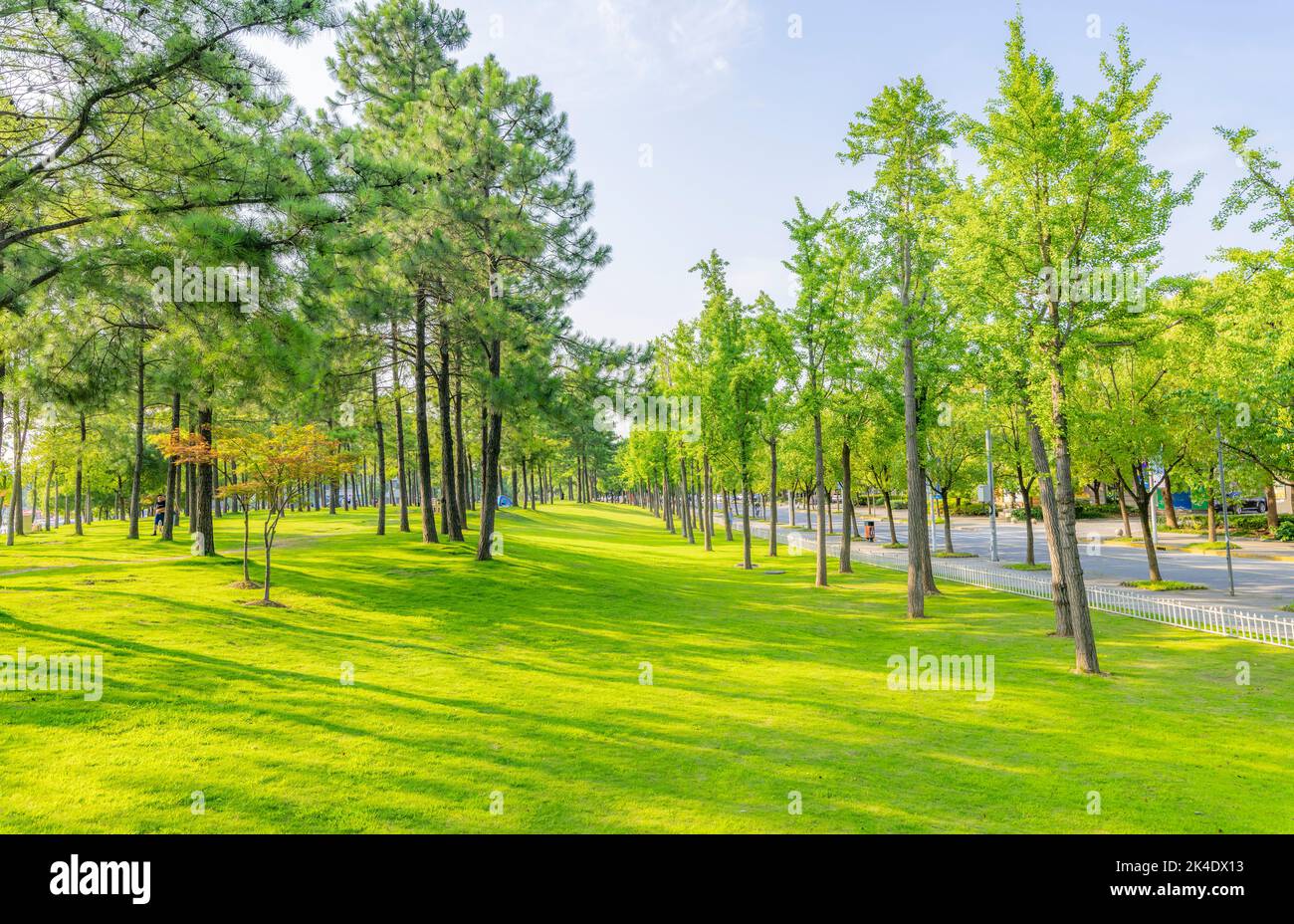Sun on the meadows hi-res stock photography and images - Alamy