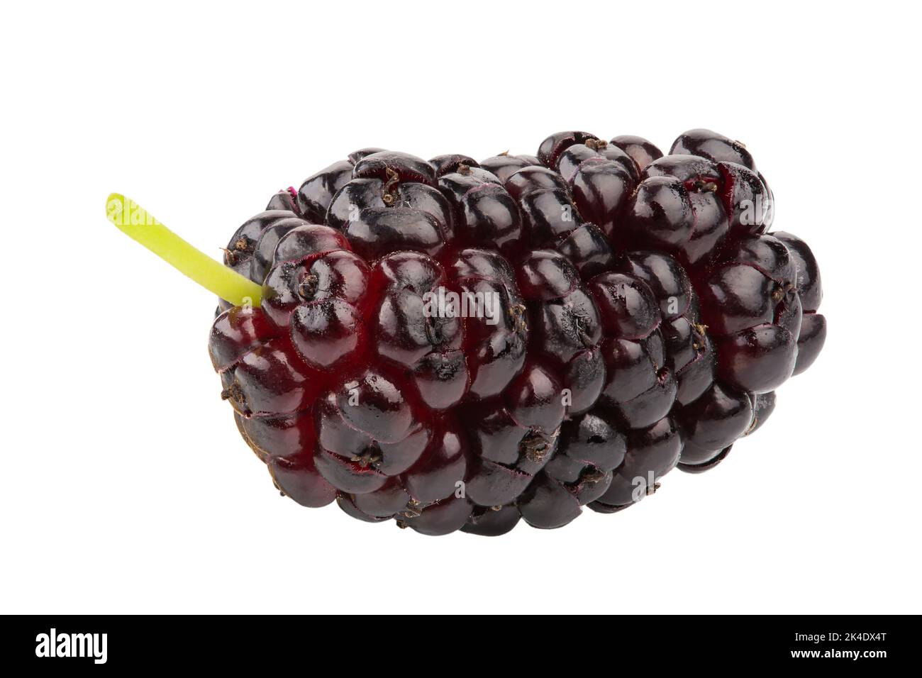 Mulberry berry isolated on white background macro. File contains ...