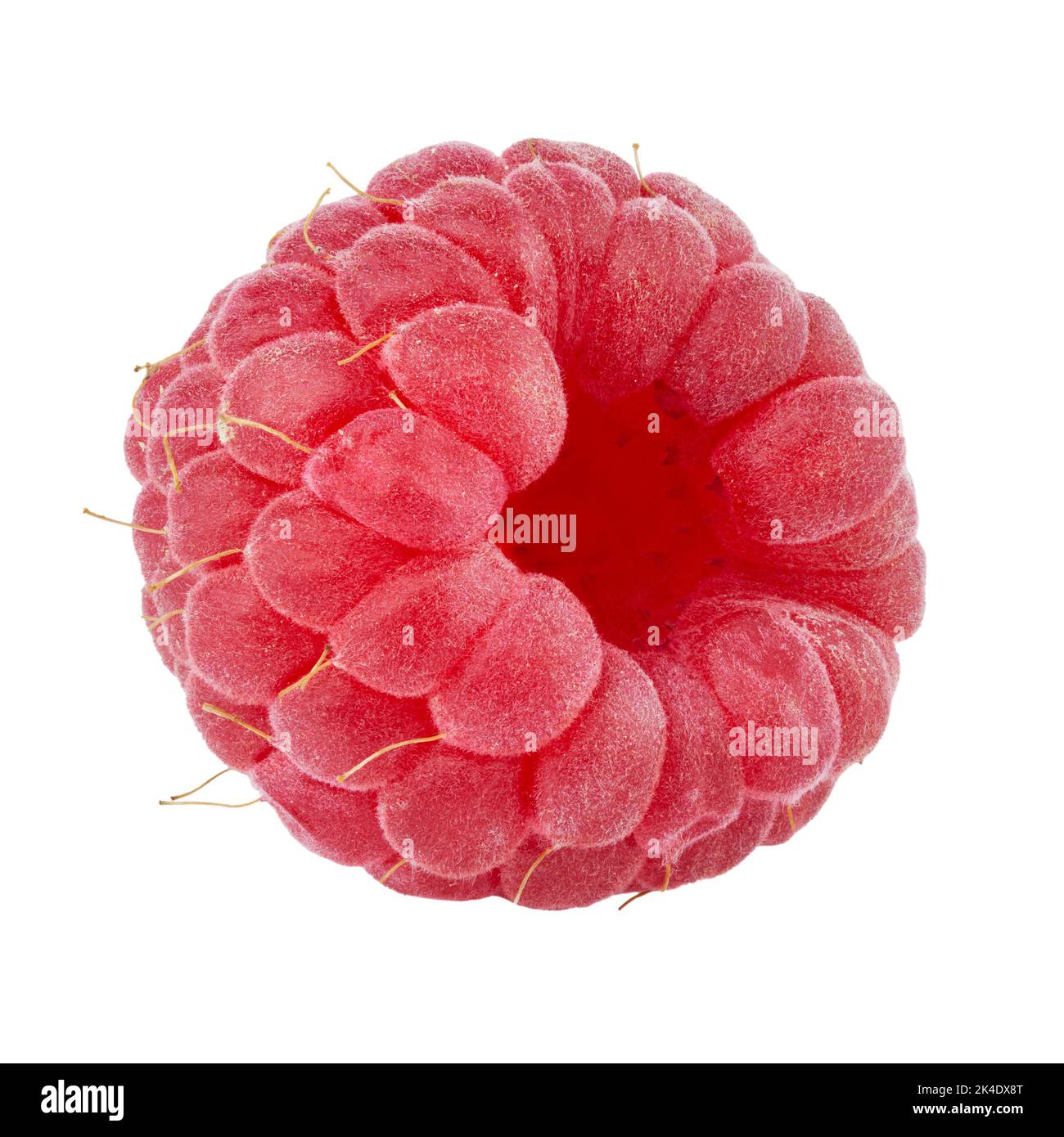 Raspberry isolated on white background. Red berry close up. File contains clipping path Stock ...