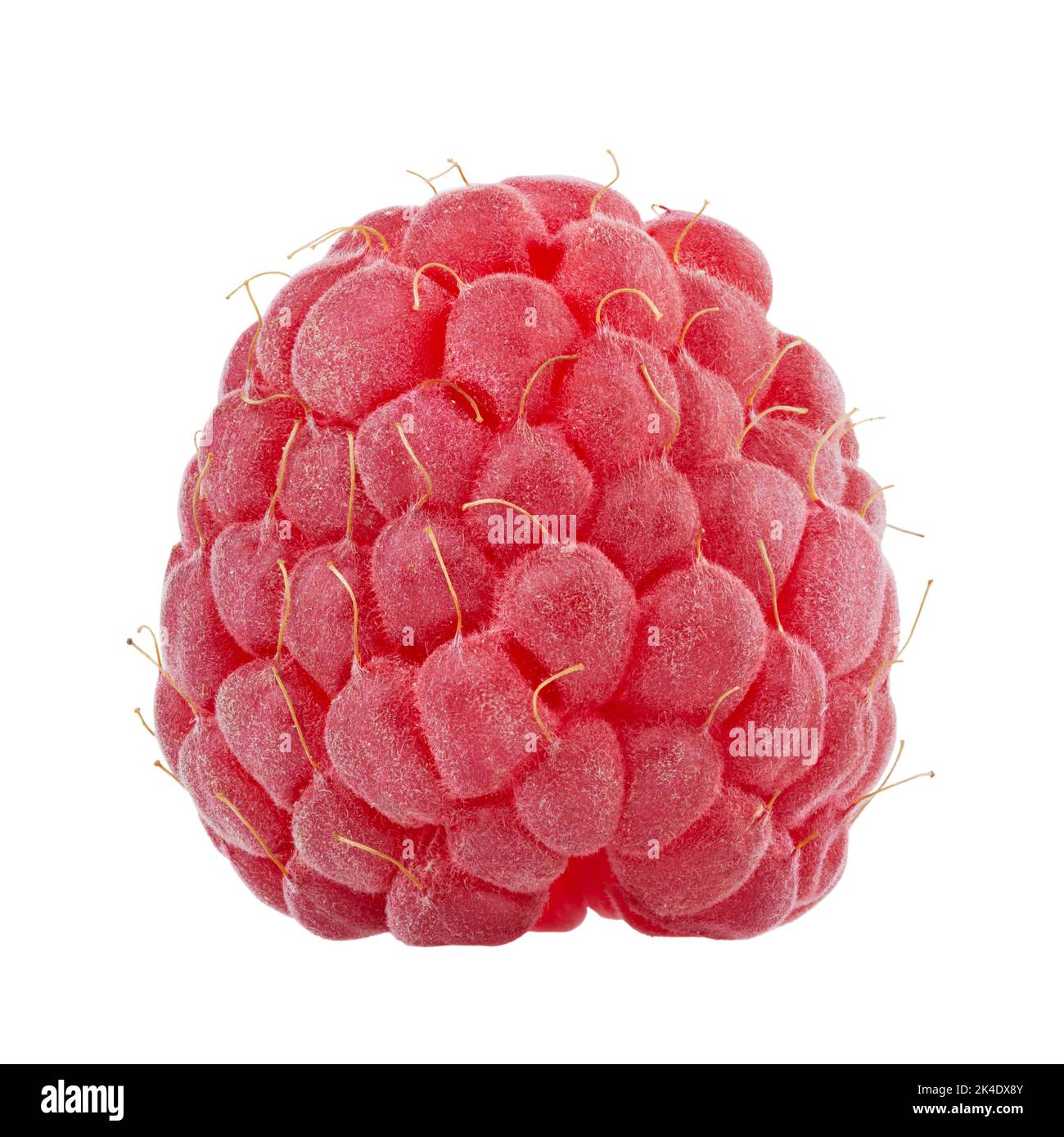 Raspberry isolated on white background. Red berry close up. File ...