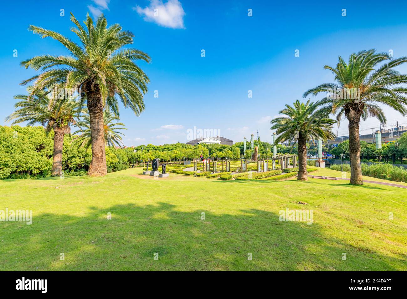 Palm trees in Meilan Lake Park, Shanghai, China Stock Photo - Alamy