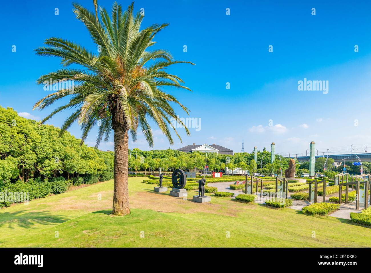 Palm trees in Meilan Lake Park, Shanghai, China Stock Photo - Alamy