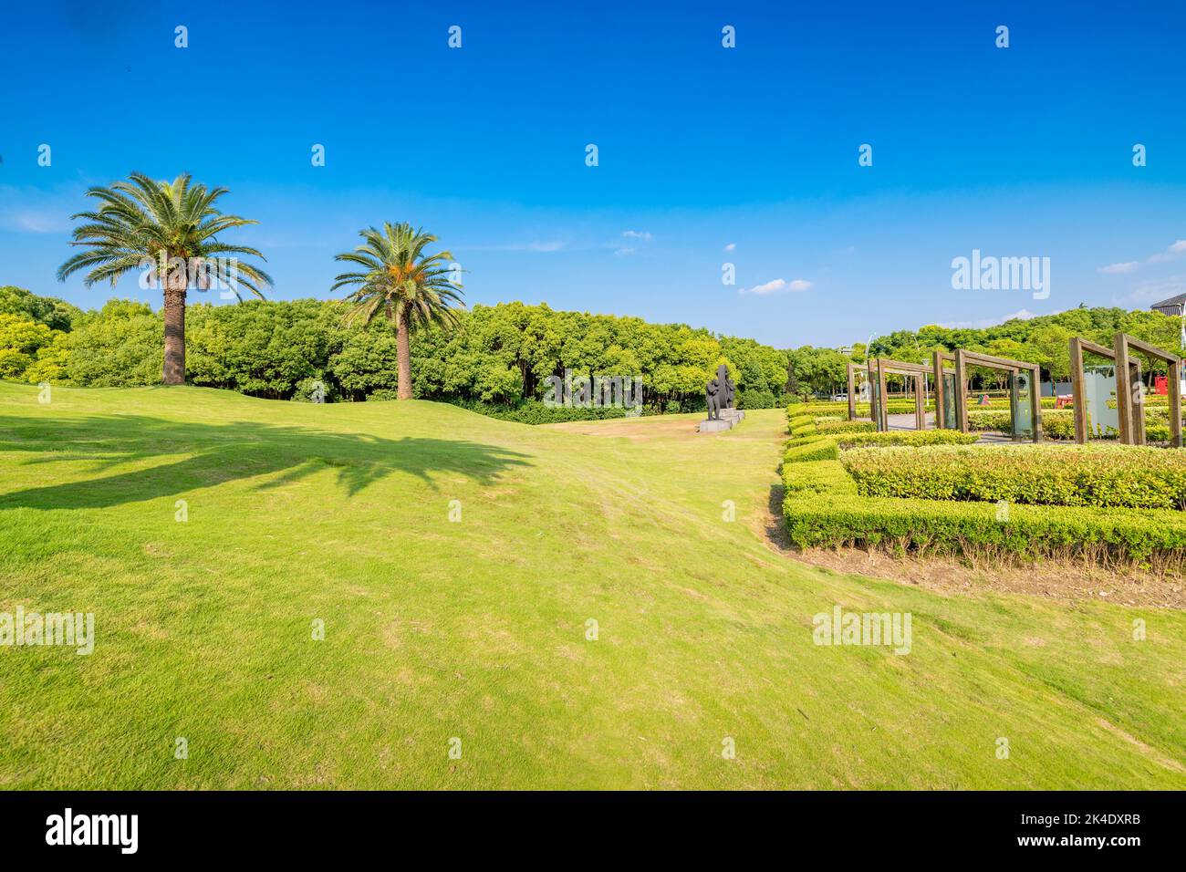 Palm trees in Meilan Lake Park, Shanghai, China Stock Photo - Alamy