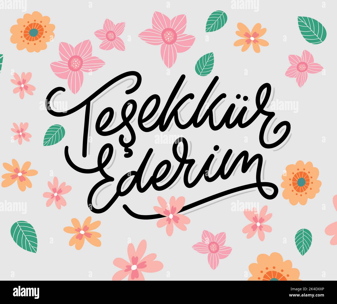 Text in the Turkish: Thank you. Lettering. Ink illustration. Modern ...